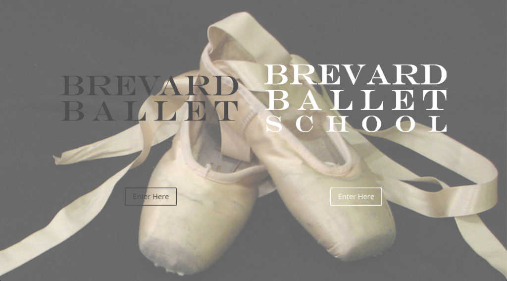 Brevard Ballet - Marketing, Social Media & Event Photography
